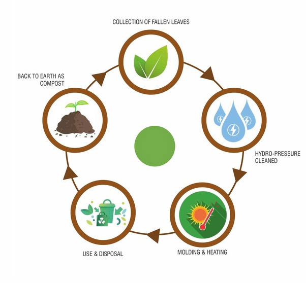 Green Shine LLC - Green Shine LLC